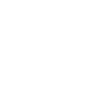 Elevate Your Networking with Digital Business Cards | Tapy